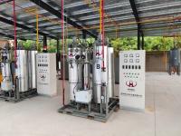 China PSA Nitrogen Generator for Dry Gas Seals 95-99.99% Purity for sale