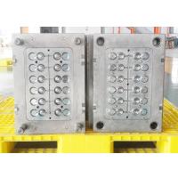 China Custom Plastic Mould Polishing Muti Cavity Injection Molding for sale