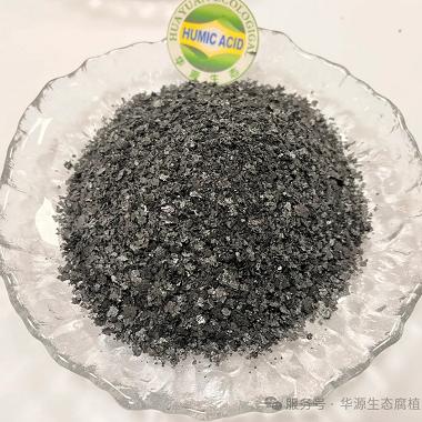 China 100% Water Soluble Potassium Humate Fertilizer Improves Soil Structure with 10-12% Potassium (K2O) for Enhanced Plant Growth for sale