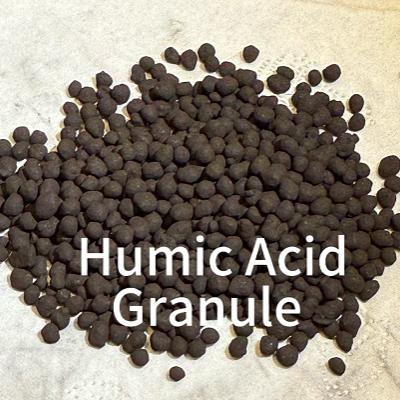 China Organic Humic Acid Granules with 70% Humic Acid Content for Soil Conditioning and High CEC 400-450meg/100g for sale