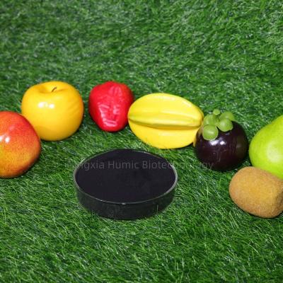 China Concentrated Potassium Humate Powder with 12% K2O and 60-70% Humic Acid for High Water Solubility Soil Conditioning for sale