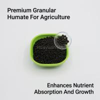 China 70% Humic Acid Slow Release Granule Organic Fertilizer for Desert Reclamation and Sandy Soil Amendment for sale