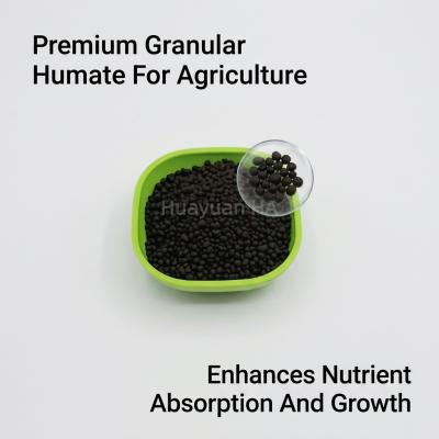 China 70% Humic Acid Slow Release Granule Organic Fertilizer for Desert Reclamation and Sandy Soil Amendment for sale