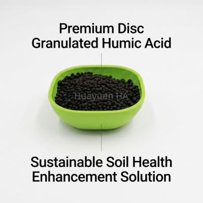 China 70% Humic Acid Granule with 90-120 Day Extended Release for Multi-Crop Tropical Agriculture for sale