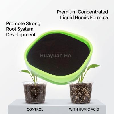 China 90% Ultra Pure Humic Acid Powder - 99.5% Water Soluble Leonardite Humic Acid for Zero Nozzle Clogging Fertigation for sale