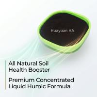 China 75% Humic Acid Granule with 2-4mm Uniform Size for Phosphorus Fixation Reduction in Agricultural Soil Conditioning for sale