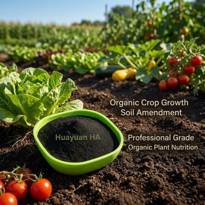 China 65% Humic Acid Granule - Economical Multi-Crop Soil Revitalizer for Smallholder Farming in India for sale
