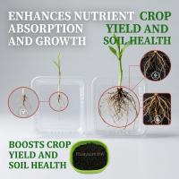China 70% Humic Acid Granule - Water-Stable Monsoon-Ready Soil Amendment for Bangladesh Rice Jute Wetland for sale