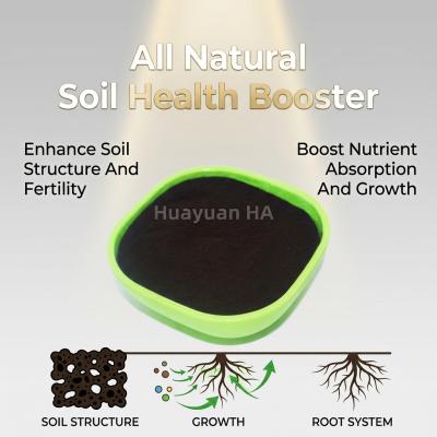 China 75% Humic Acid Granule with Tropical Hardness for Monsoon-Proof Soil Amendment in Vietnam for sale