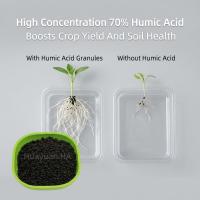 China 68% Humic Acid Granule for Tropical Farmland Restoration - 2-5mm Organic Soil Amendment for sale
