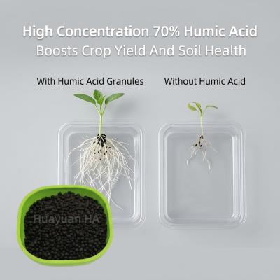 China 68% Humic Acid Granule for Tropical Farmland Restoration - 2-5mm Organic Soil Amendment for sale