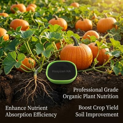 China 80% Humic Acid Granule with Water Efficiency Improvement and Controlled Release for Premium Crops for sale