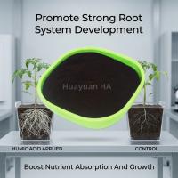 China 70% Humic Acid Powder Fast Dissolving Water Soluble Soil Conditioner for Cambodia Rice Paddy for sale