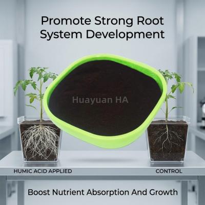 China 70% Humic Acid Powder Fast Dissolving Water Soluble Soil Conditioner for Cambodia Rice Paddy for sale
