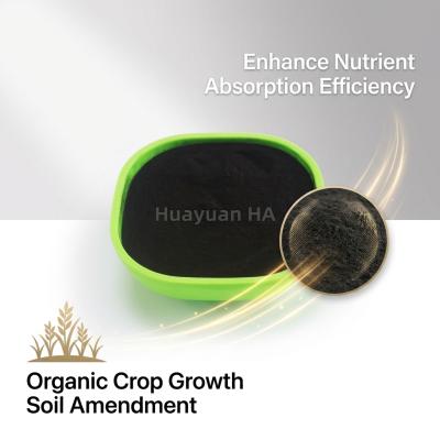 China 75% Humic Acid Granule with Multi-Climate Stability and Irrigation System Versatility for Mexico Agriculture for sale