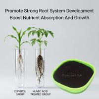 China 75% Humic Acid Powder 100% Water Soluble for Philippines Agriculture Rice and Coconut Soil Fertility for sale