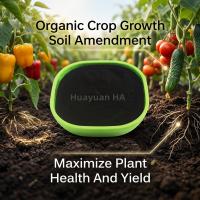 China 80% Premium Humic Acid Powder for Philippines Export Crop Excellence Compliant with Japan/Korea Import Standards for sale