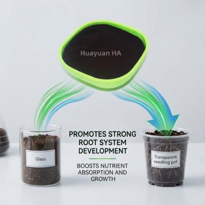 China 85% High Purity Humic Acid Powder for Saudi Arabia Desert Agriculture with Water Efficiency Improvement for sale