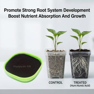 China 72% Fast Dissolving Humic Acid Powder for Paddy Organic Soil Improvement from Oxidized Leonardite for sale