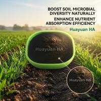 China 78% Humic Acid Powder for Tropical Fruit Export Quality Soil Nutrition with Naturally Rich Micro-nutrients for sale