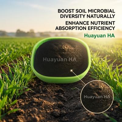 China 78% Humic Acid Powder for Tropical Fruit Export Quality Soil Nutrition with Naturally Rich Micro-nutrients for sale