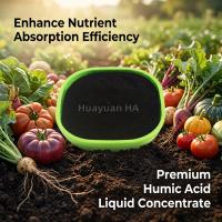 China 82% Humic Acid Powder from Premium Select Leonardite for EU Regulation 2019/1009 Compliant Orchards for sale
