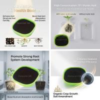 China Water Retention Humic Acid Granule Boosts Fertilizer Efficiency for Coffee Farming for sale