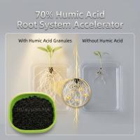 China Water Retention Humic Acid Granule Boosts Fertilizer Efficiency for Coffee Farming for sale