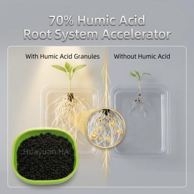 China Water Retention Humic Acid Granule Boosts Fertilizer Efficiency for Coffee Farming for sale