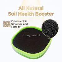 China Organic Humic Acid Granular Fertilizer 40-70% Reduces Soil Acidification for Rice Paddy Farming for sale
