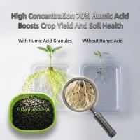 China Organic Humic Acid Granular Fertilizer 40-70% Reduces Soil Acidification for Rice Paddy Farming for sale
