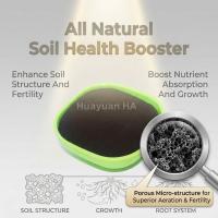 China Slow-Release Humic Acid Granule with 85% Organic Matter and 2-4mm Particle Size for Soil Conditioning for sale