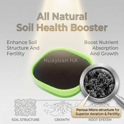 China Slow-Release Humic Acid Granule with 85% Organic Matter and 2-4mm Particle Size for Soil Conditioning for sale