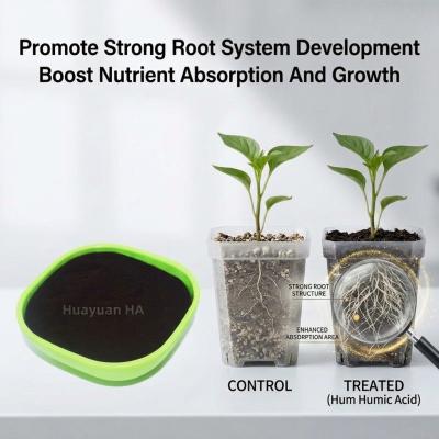 China Water Retention Humic Acid Powder for Sandy Soil Improvement and Date Palm Optimization for sale