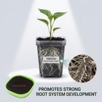 China Concentrated Humic Acid Powder with 85% Organic Matter and 40%-70% Humic Acid Content for Rubber Tree Soil Conditioner for sale