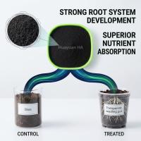 China Water Soluble Humic Acid Powder with 40%-70% Humic Acid Content for Coffee Farming Optimisation for sale