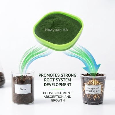 China Water Soluble Humic Acid Powder with 40%-70% Humic Acid Content for Coffee Farming Optimisation for sale