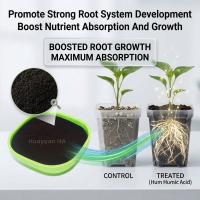 China 100% Organic Humic Acid Powder Reduces Soil Acidification for Rice Paddy Farming for sale
