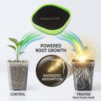 China 100% Organic Humic Acid Powder Reduces Soil Acidification for Rice Paddy Farming for sale