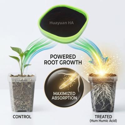 China 100% Organic Humic Acid Powder Reduces Soil Acidification for Rice Paddy Farming for sale