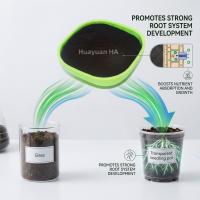 China 70% Humic Acid Powder Water Soluble Fertigation Grade Soil Amendment for Palm Oil Plantations for sale