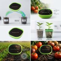 China 70% Humic Acid Powder Water Soluble Fertigation Grade Soil Amendment for Palm Oil Plantations for sale