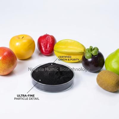 China Natural Source 60% Humic Acid Granule Soil Conditioner Improves Soil Function for Cocoa and Maize Farms for sale