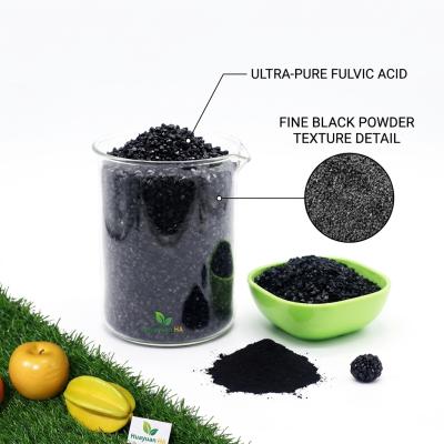 China Water-Soluble Potassium Humate Powder with 95%-100% Solubility, 60-70% Humic Acid, and 8-12% K2O for Fertigation for sale