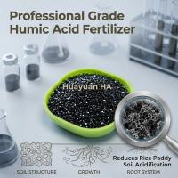 China Premium Potassium Humate Granule Organic Soil Conditioner with 12% K2O and 80% Humic Acid for Mechanical Spreading for sale