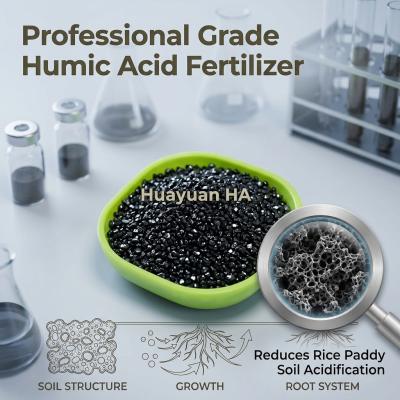 China Premium Potassium Humate Granule Organic Soil Conditioner with 12% K2O and 80% Humic Acid for Mechanical Spreading for sale