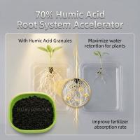 China Organic Humic Acid Granule Soil Conditioner with 60% Humic Acid Improves Soil Structure and Slow Release Nutrition for Coffee and Durian Plantations for sale