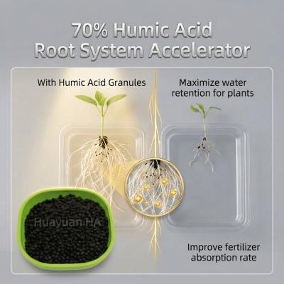 China Organic Humic Acid Granule Soil Conditioner with 60% Humic Acid Improves Soil Structure and Slow Release Nutrition for Coffee and Durian Plantations for sale