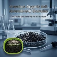 China Natural Leonardite Humic Acid Granule with 65% Humic Acid Content for Slow Release and Improved Soil Biology for sale