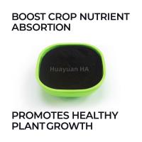 China 65% Humic Acid Granule Soil Amendment Improves Saline Soils with Slow Release for Date Palms for sale